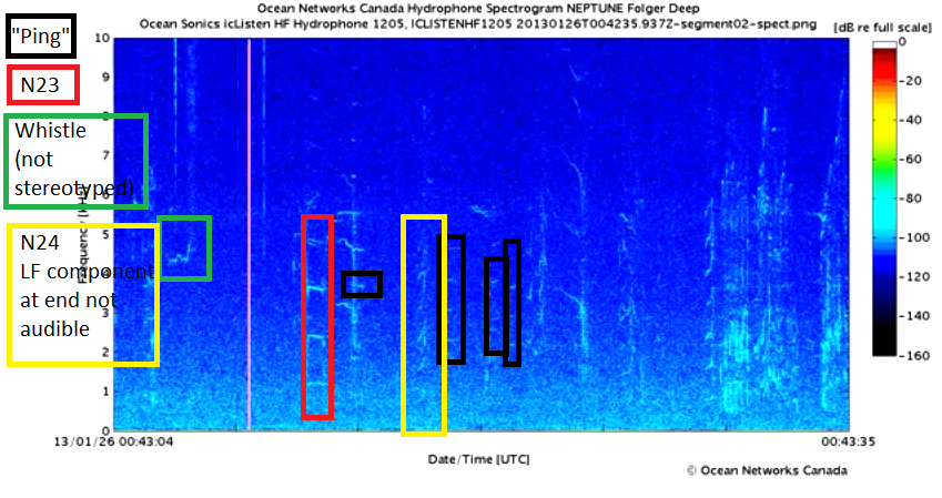 Shouting Whales: A Marine Science Teaching Resource